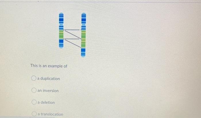 Solved IN HD This is an example of a duplication an | Chegg.com