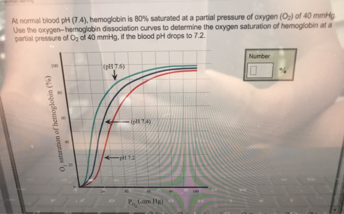 Solved At normal blood pH (7.4), hemoglobin is 80% saturated | Chegg.com
