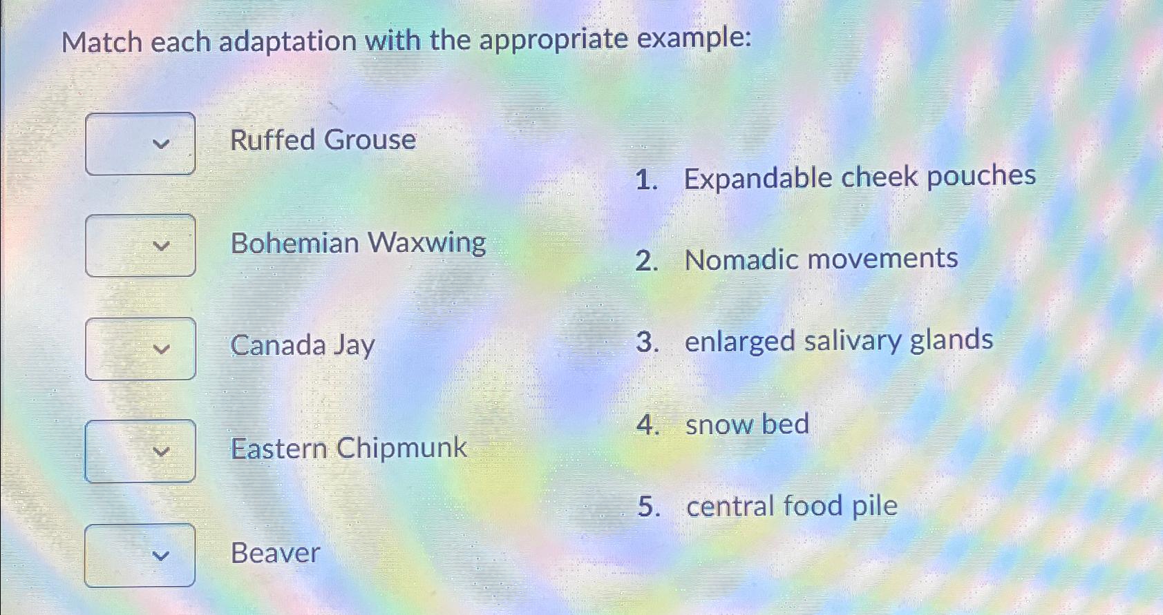 Solved Match each adaptation with the appropriate | Chegg.com
