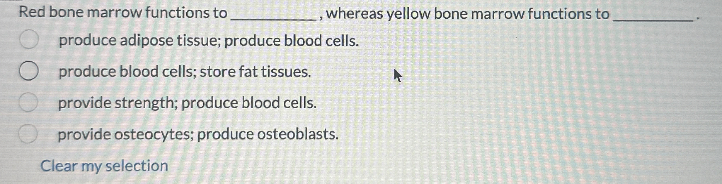 High Quality SOLUTION Red bone marrow functions to ﻿whereas yellow bone ...