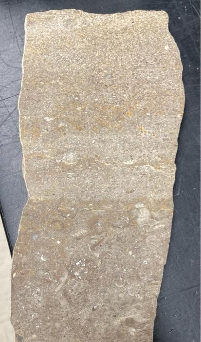 Solved can you answer the questions for each rock:*Dunham | Chegg.com