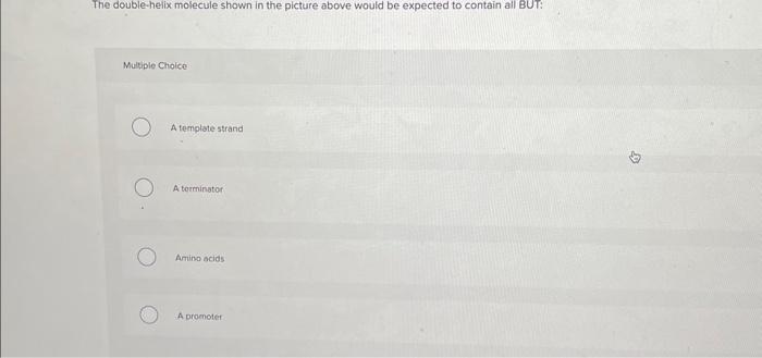 Solved e mis Ferron fidud The double-helix: Multiple Cholce | Chegg.com