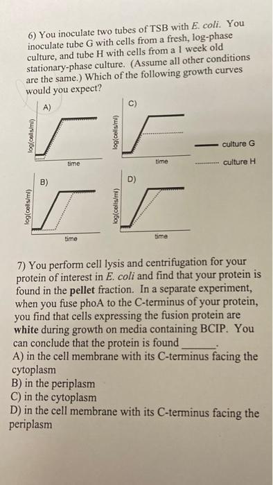 Solved 6) You inoculate two tubes of TSB with E. coli. You | Chegg.com