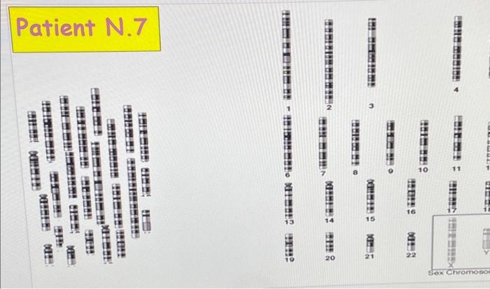 Patient N.1 Recommendation: atient | Chegg.com