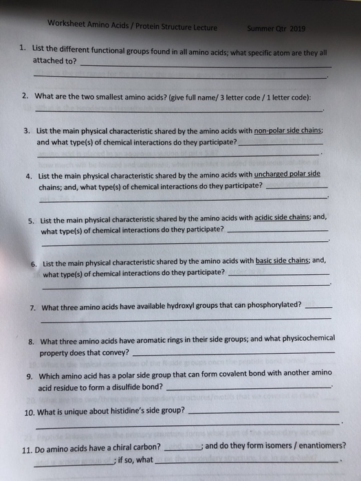 Solved Worksheet Amino Acids/ Protein Structure Lecture | Chegg.com