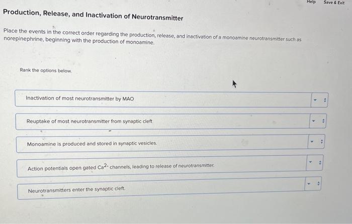 Solved Production, Release, and Inactivation of | Chegg.com