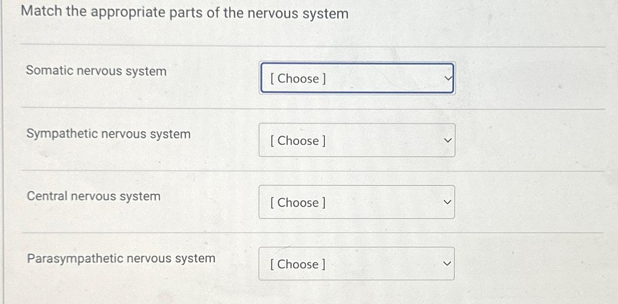 Solved Match the appropriate parts of the nervous | Chegg.com