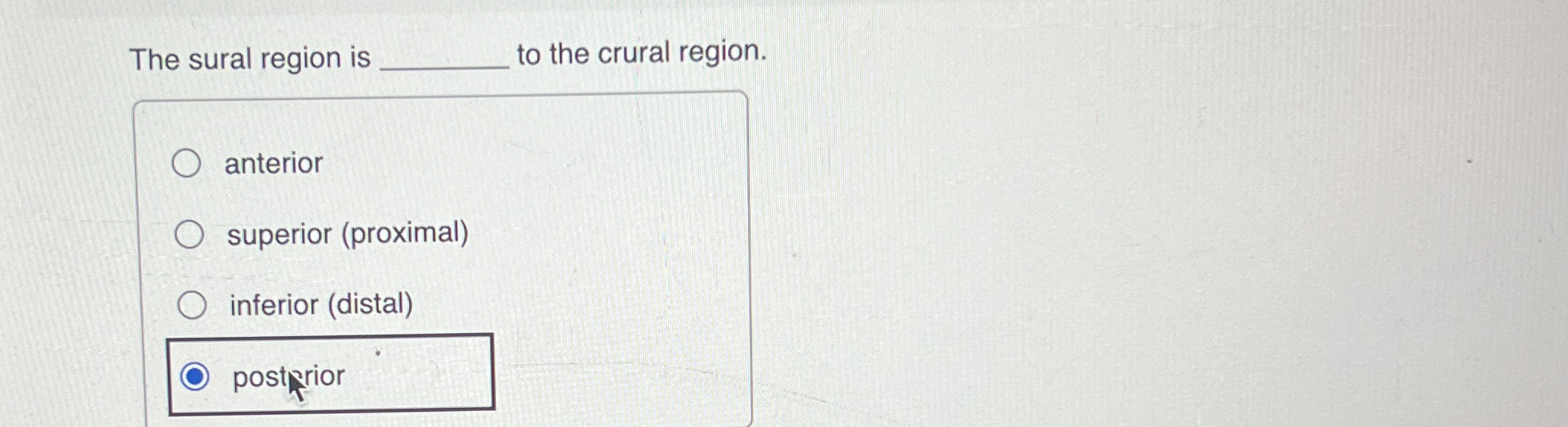 Solved The sural region is to the crural | Chegg.com