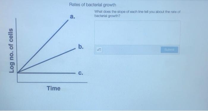 Solved Rates of bacterial growth What does the slope of each | Chegg.com