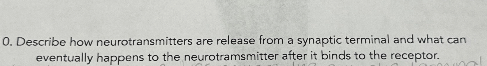 Solved Describe how neurotransmitters are release from a | Chegg.com