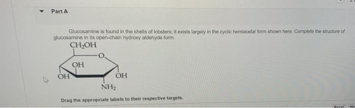 Solved Glucosamine is found in the shells of lobsters, it | Chegg.com