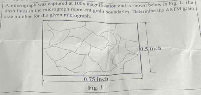 Solved A micrograph was captured at 100x magnification and | Chegg.com