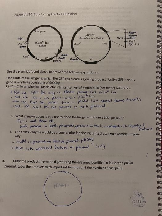 Solved please answer these questions and provide a brief | Chegg.com