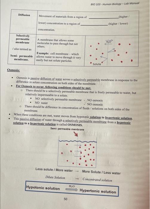 Solved BIO 103 - Human Biology-Lab Manual Diffusion Movement | Chegg.com