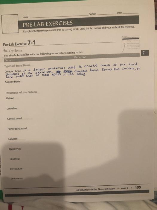 Solved Section Date Name PRE-LAB EXERCISES Complete the | Chegg.com