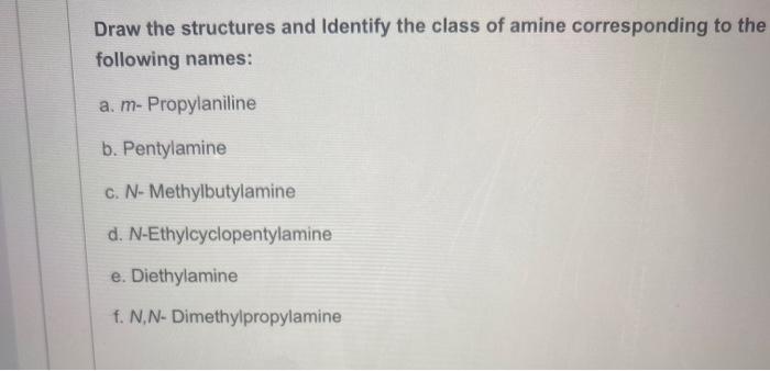 Solved Draw the structures and Identify the class of amine | Chegg.com
