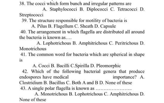 Solved 38. The cocci which form bunch and irregular patterns | Chegg.com