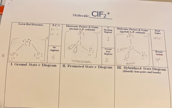 Solved Molecule: CIF2+ Lewis Dot Structure. F.C.'s F. | Chegg.com