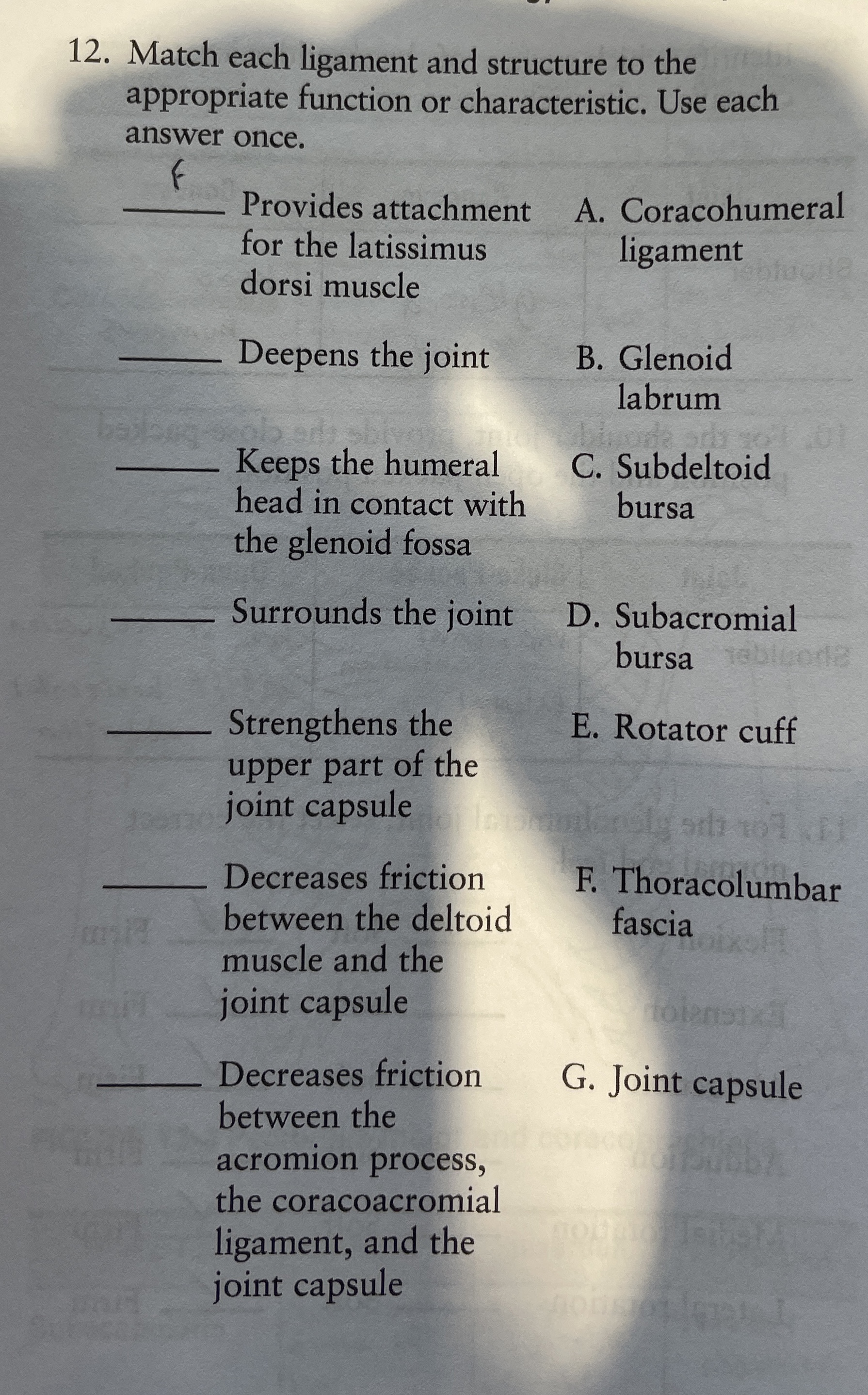Solved Match each ligament and structure to theappropriate | Chegg.com
