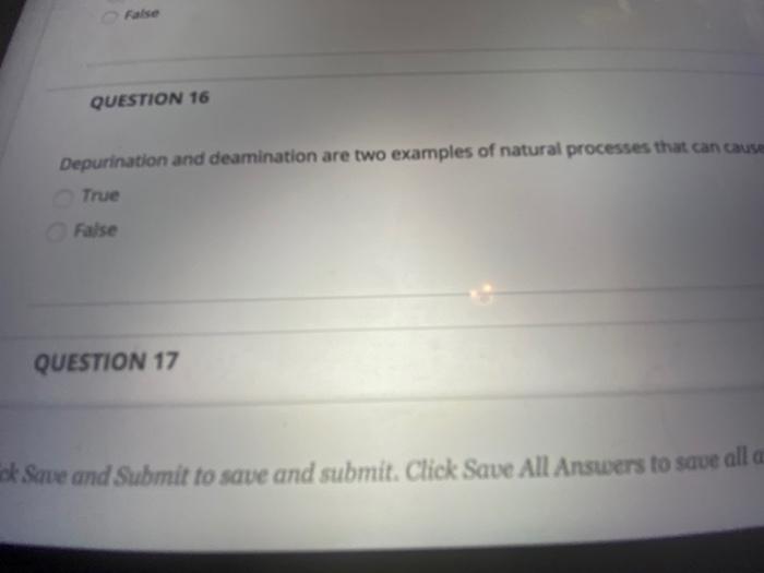 Solved depurination and deamination are two examples of | Chegg.com