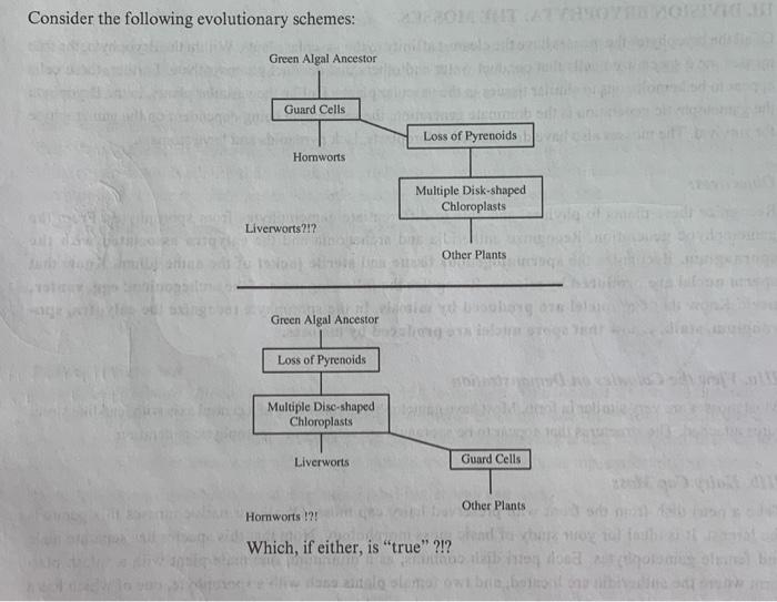 Consider the following evolutionary schemes: | Chegg.com