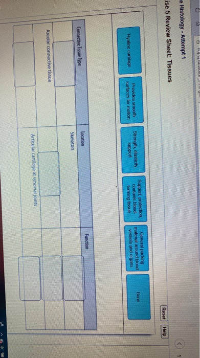 Solved Stratified cuboidal Simple squamous Simple cuboidal | Chegg.com