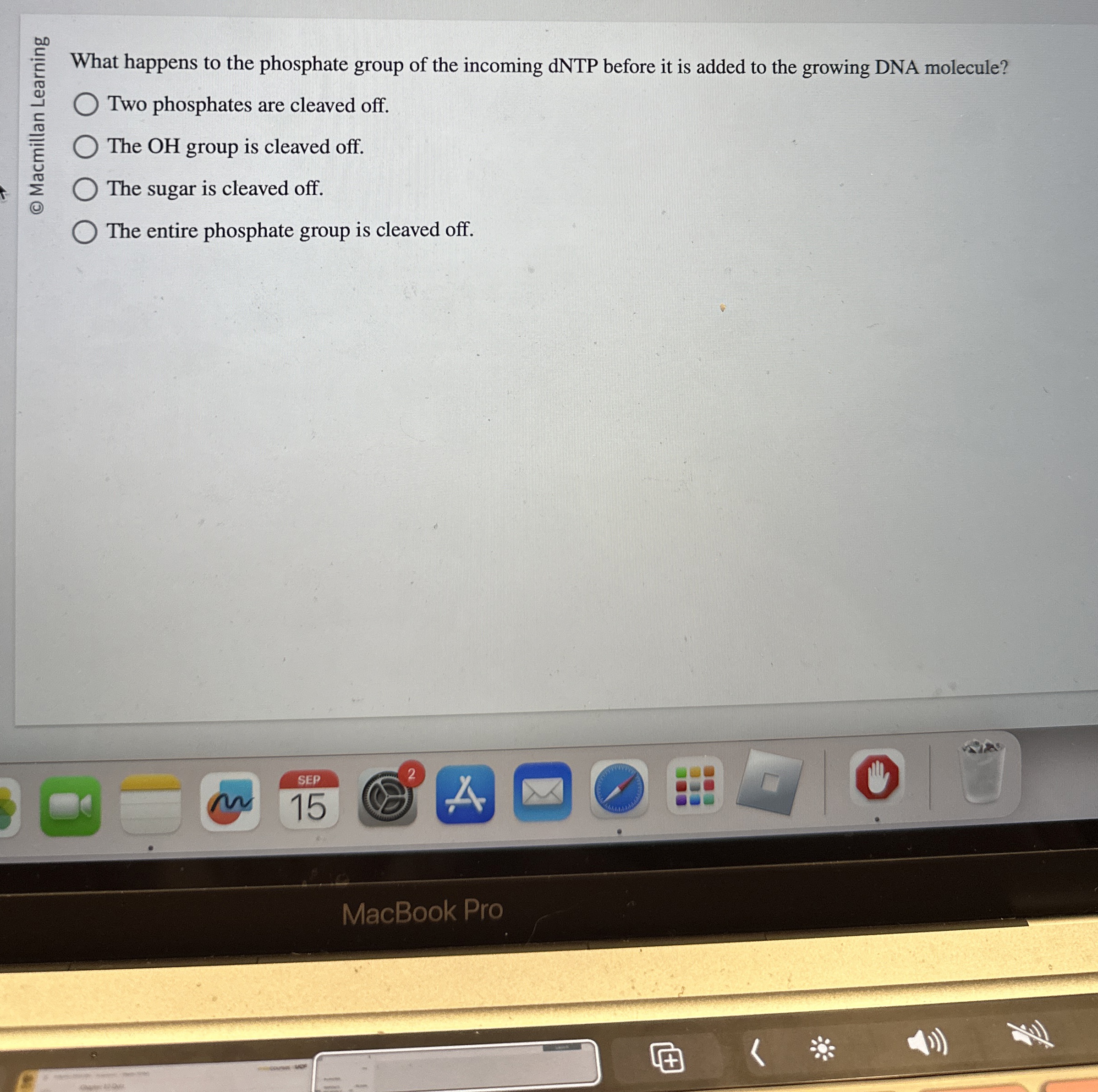 Solved What happens to the phosphate group of the incoming | Chegg.com