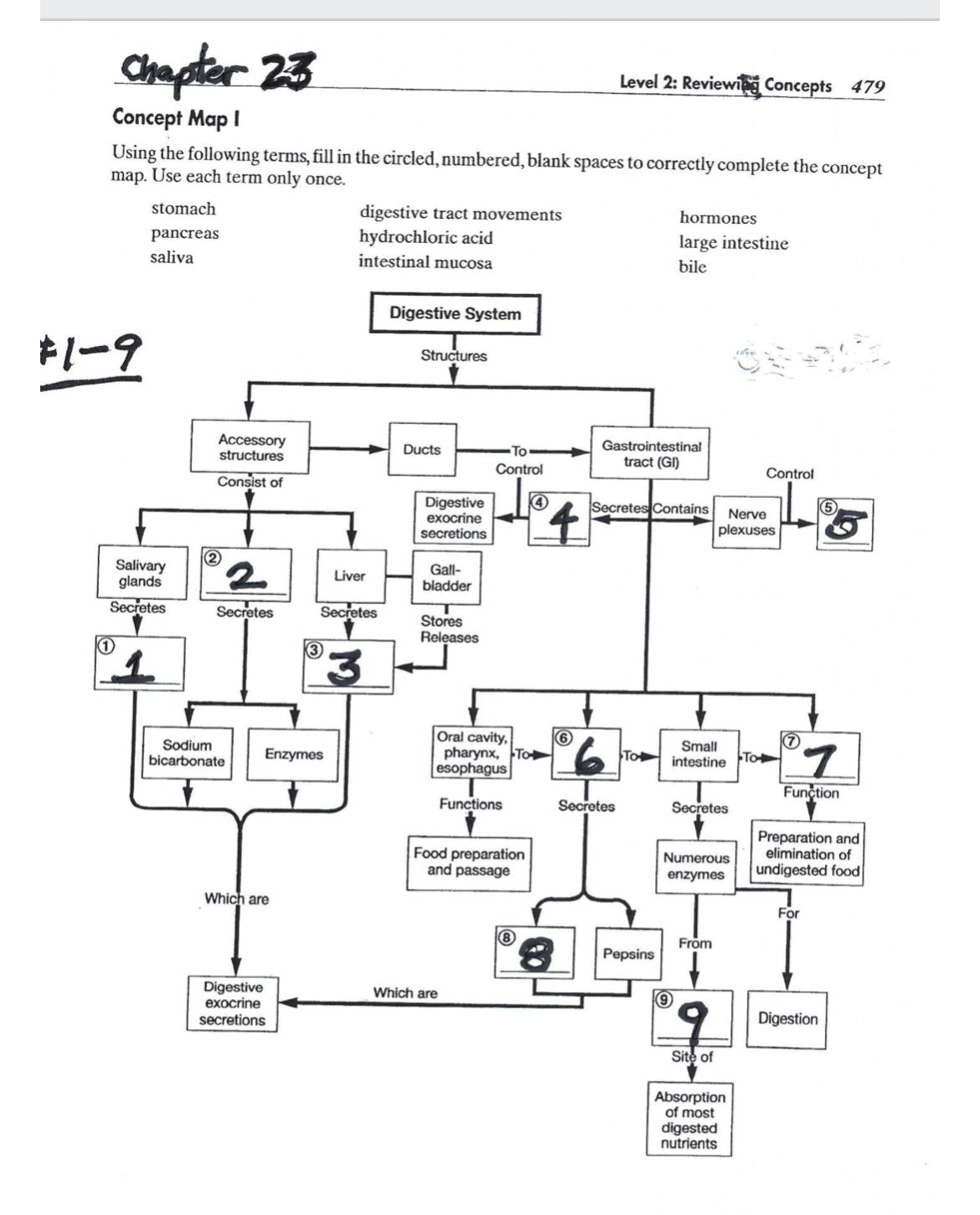 Solved Fill in the blank using the following terms | Chegg.com