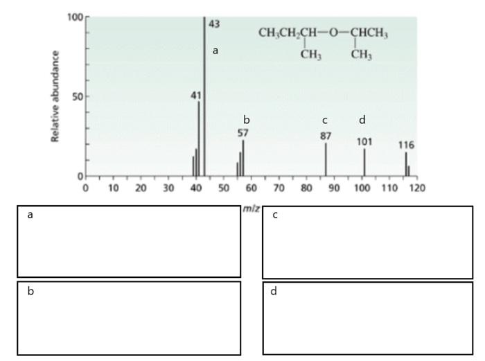 Solved Drag the fragmentation mechanisms to the | Chegg.com