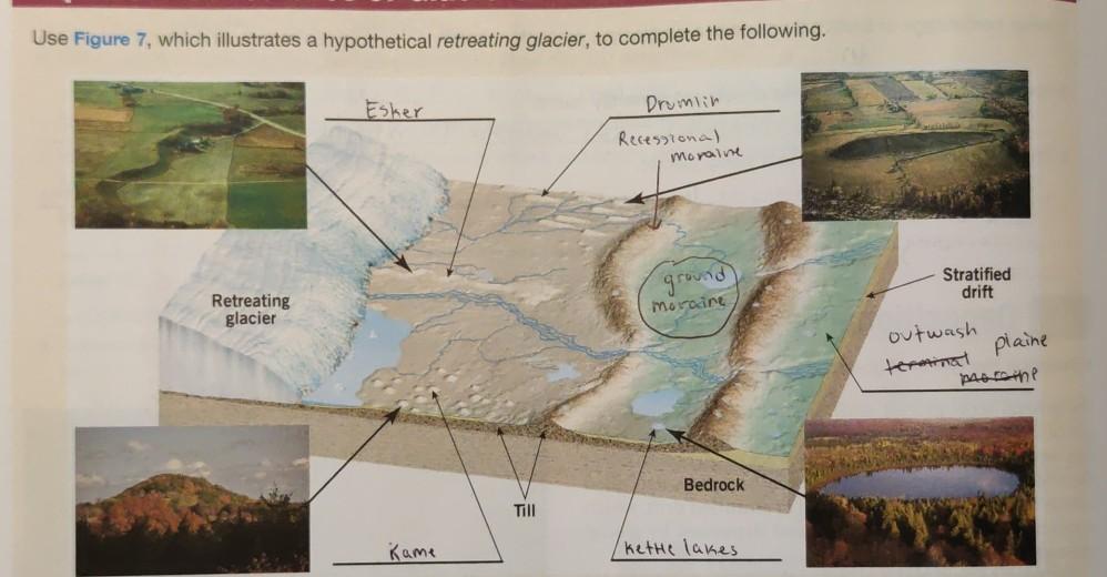 Solved Cam state 300 + frosor M 790 Zoh Domla B. 7 Ce OD 7 | Chegg.com