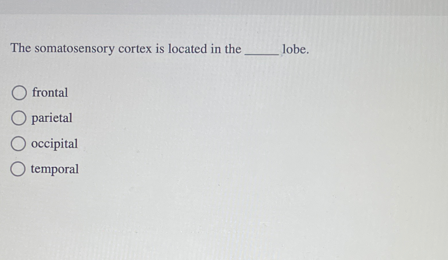Solved The somatosensory cortex is located in the | Chegg.com