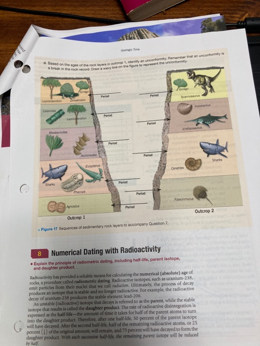 Solved Fossils, the remains or traces of prehistoric life | Chegg.com