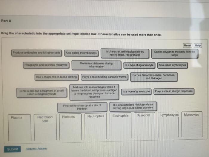 Solved Part A Drag the characteristic Into the appropriate | Chegg.com