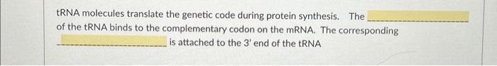 Solved tRNA molecules translate the genetic code during | Chegg.com