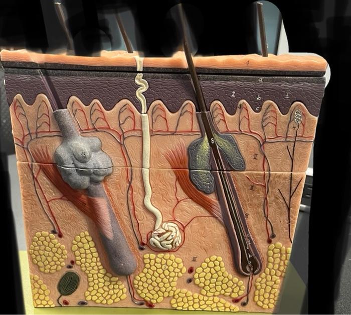 Solved label | Chegg.com