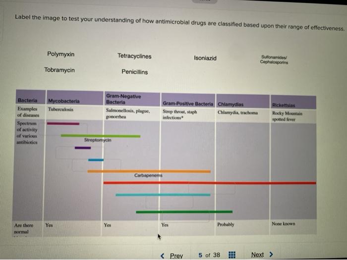 Solved Label the image to test your understanding of how | Chegg.com