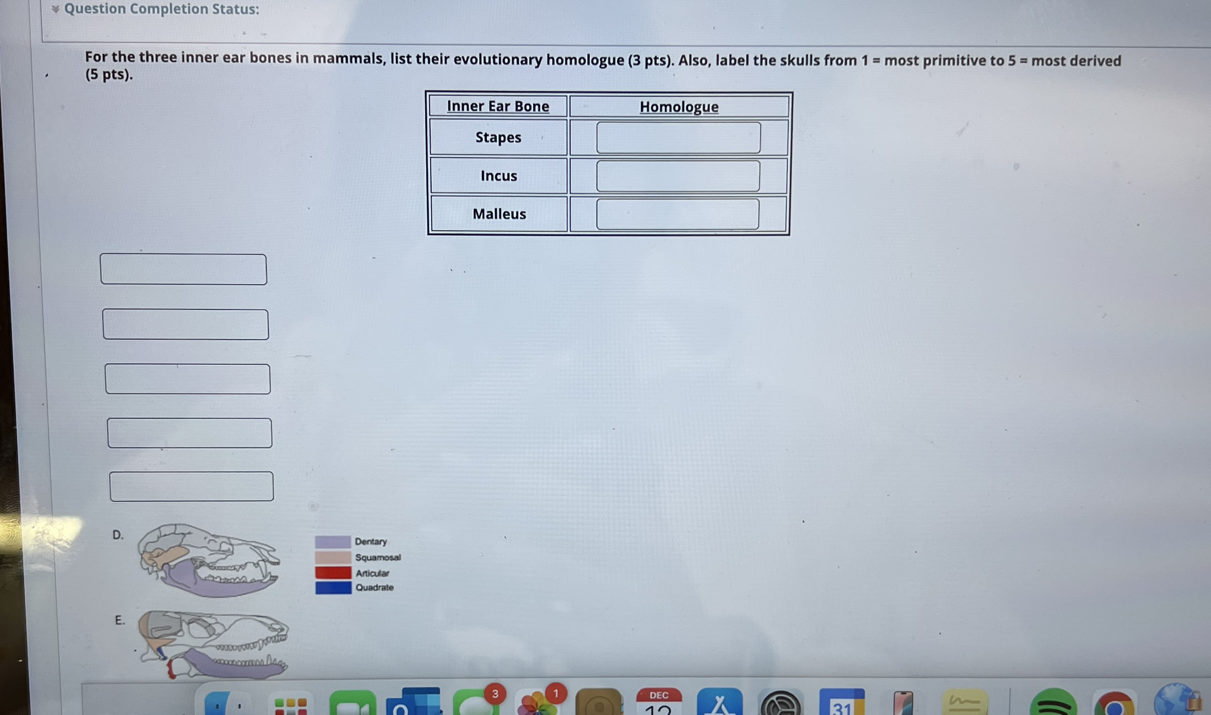 Solved ₹ ﻿Question Completion Status:Label the following | Chegg.com