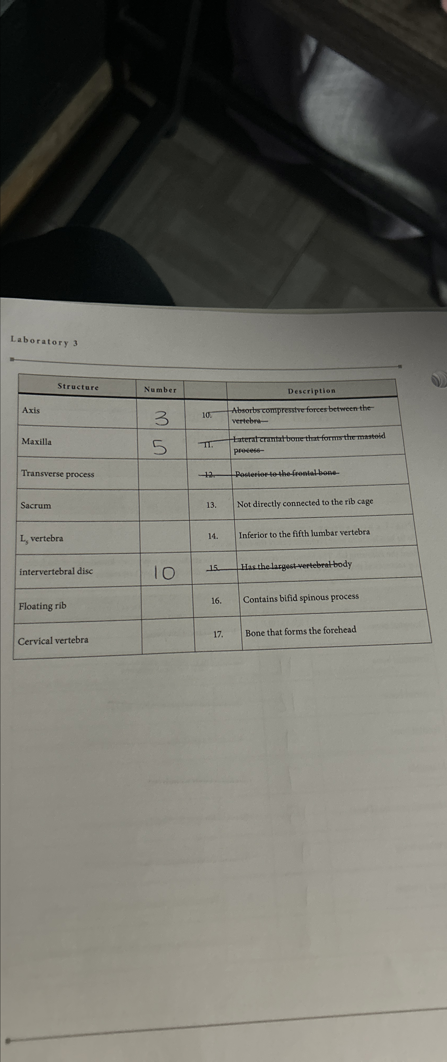 Solved Laboratory | Chegg.com