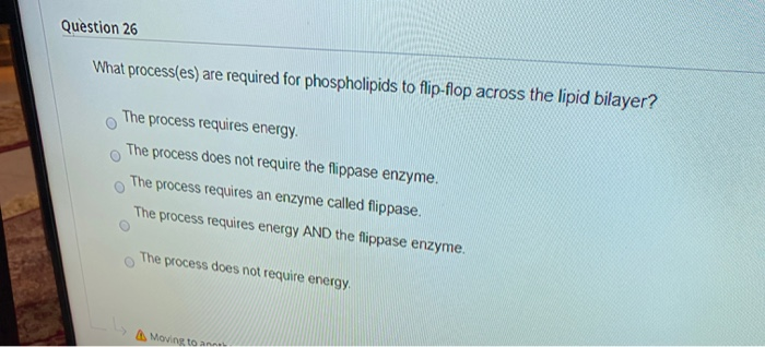 Solved Question 26 What process(es) are required for | Chegg.com