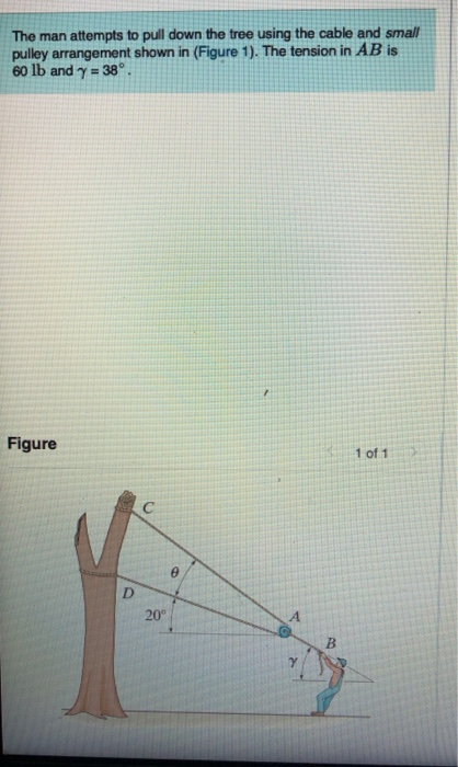 Solved The man attempts to pull down the tree using the | Chegg.com