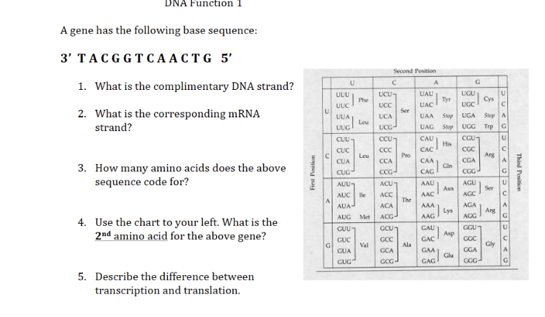 Solved What is the complimentary DNA strand?What is the | Chegg.com
