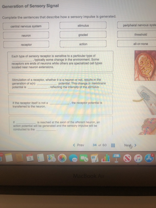 Solved Generation of Sensory Signal Complete the sentences | Chegg.com