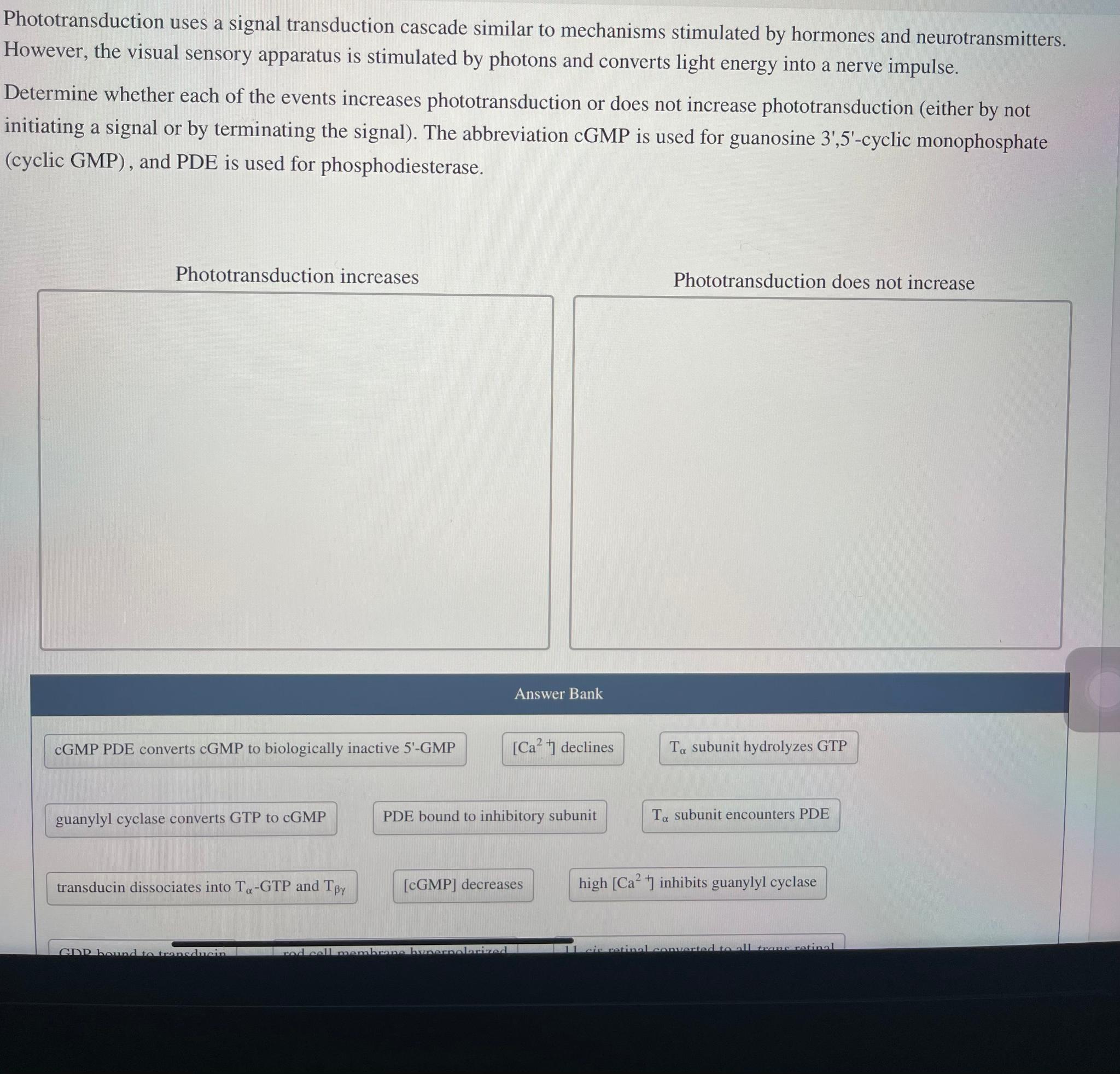 Solved Phototransduction uses a signal transduction cascade | Chegg.com
