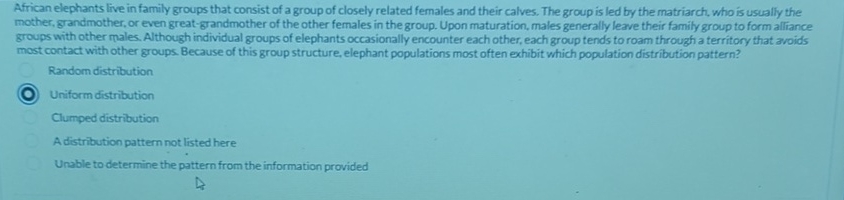 Solved African elephants live in family groups that consist | Chegg.com