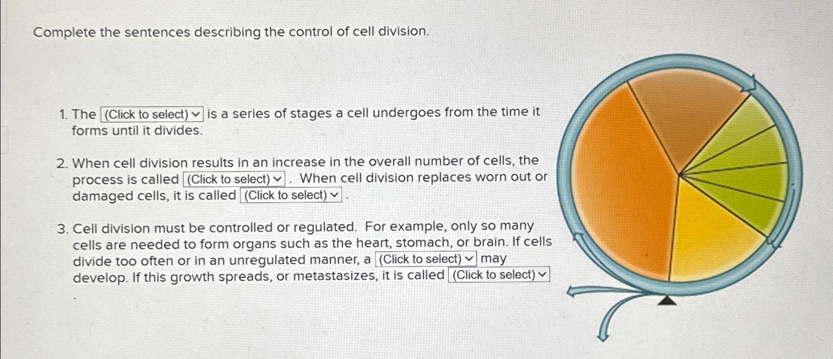 Solved Complete the sentences describing the control of cell | Chegg.com
