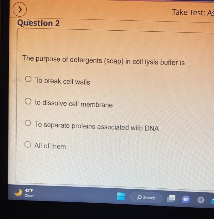 Solved The purpose of detergents (soap) in cell lysis buffer | Chegg.com