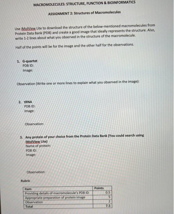 MACROMOLECULES: STRUCTURE, FUNCTION & BIOINFORMATICS | Chegg.com