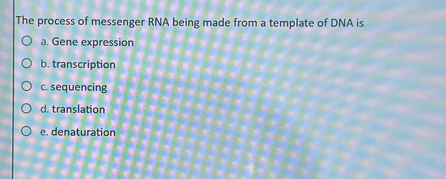 Solved The process of messenger RNA being made from a | Chegg.com