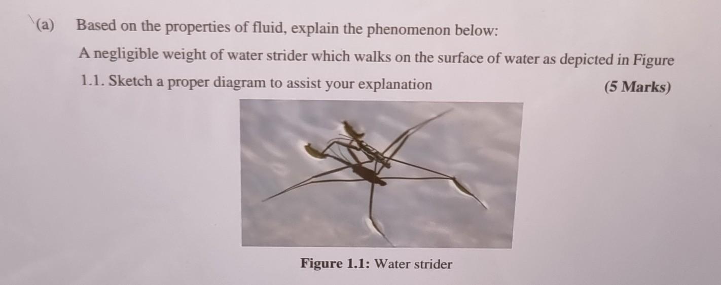 Solved (a) Based on the properties of fluid, explain the | Chegg.com