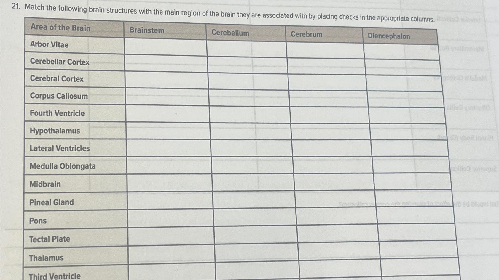 Solved Match the following brain structures with the main | Chegg.com